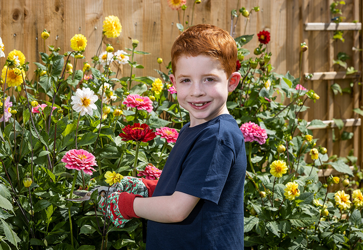 Dobbies Announces 'Not Your Average Gardener' Award Winners Dobbies Announces 'Not Your Average Gardener' Award Winners